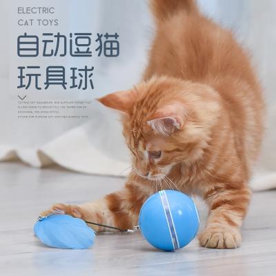 Cina ABS migliore Cat Toys Electric Eco Friendly automatizzata materiale in vendita