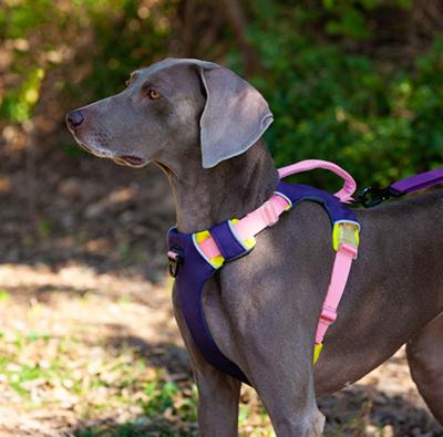 China Adjustable Reflective  Oxford Large Dog Harness Leash Set With Easy Control for sale