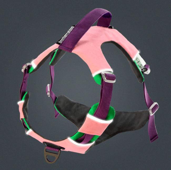 dog harness