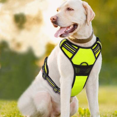 中国 引きのハンドルを持つ大きい犬のためのナイロン反射ペット馬具の鎖 販売のため