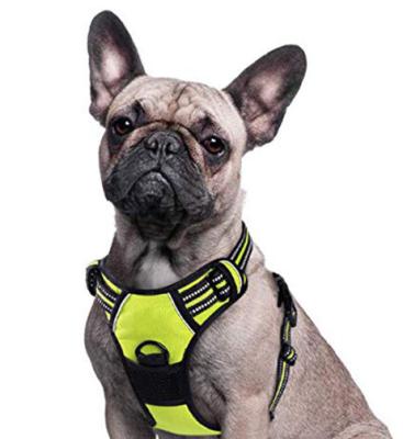 中国 引きのハンドルを持つ大きい犬のためのナイロン反射ペット馬具の鎖 販売のため