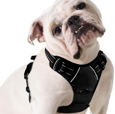 中国 引きのハンドルを持つ大きい犬のためのナイロン反射ペット馬具の鎖 販売のため