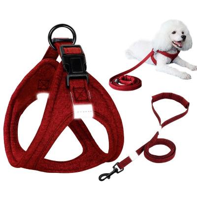Cina Tipo di camminata catena della maglia della fune traente del cane del cane per il piccolo orsacchiotto di medie dimensioni dell'animale domestico in vendita