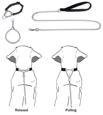 Cina Migliore guinzaglio del metallo per i cani che masticano con la maniglia riempita per i cani di grande & dimensione media in vendita