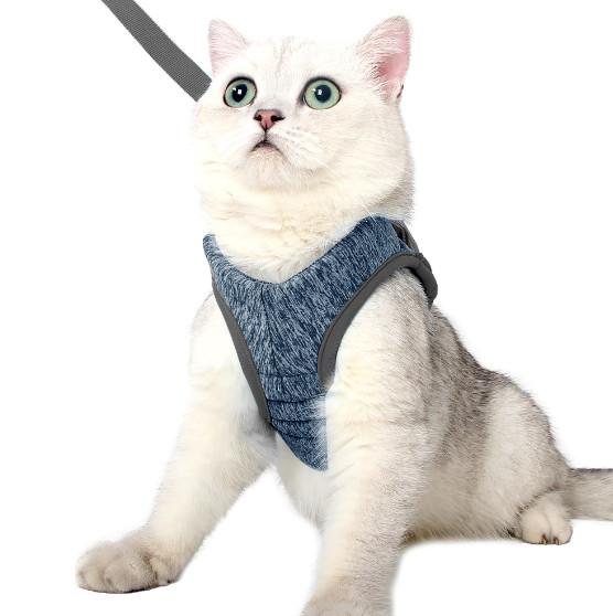 small cat harness and lead