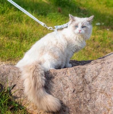 中国 庭のための最もよく柔らかい通気性のHタイプの歩く子ネコ猫の鉛 販売のため