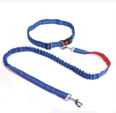 China Around Waist Pet Traction Rope Explosion Proof Belt For Medium Large Dogs for sale
