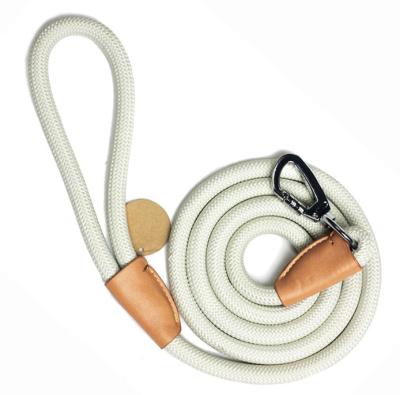 China Training Traffic Walking Dog Long Line Leash For Large Medium Dogs Small Puppy for sale