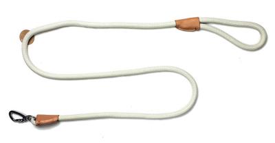 China Training Traffic Walking Dog Long Line Leash For Large Medium Dogs Small Puppy for sale