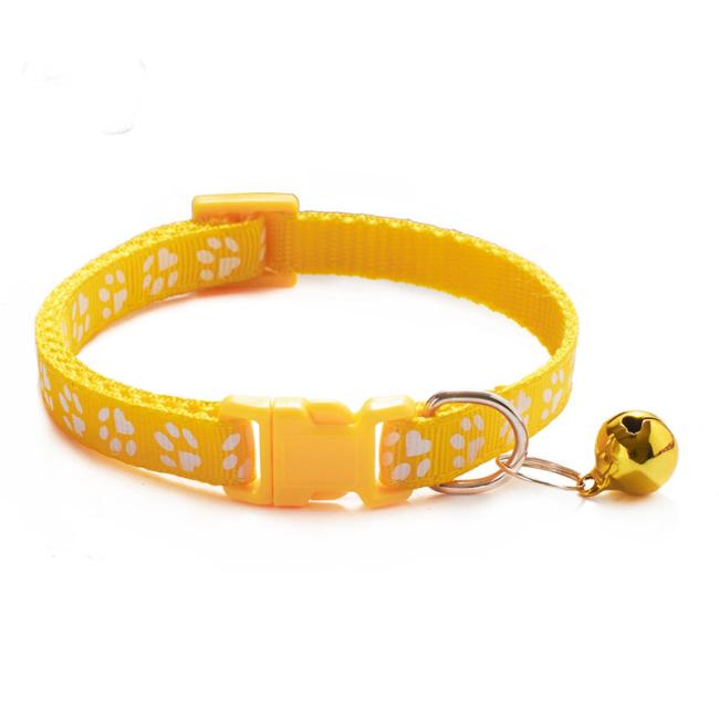 kitten e collar