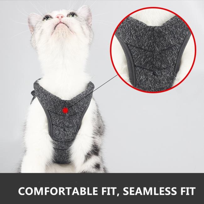 cat body leash 