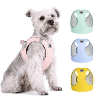 Cina Maglia riflettente della cinghia pettorale di Cat Dog Rope Harness Traction in vendita
