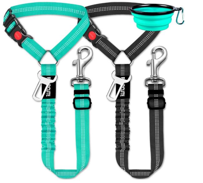 seat belt dog collars & harnesses