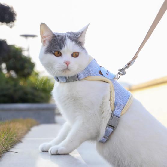cat harness belt