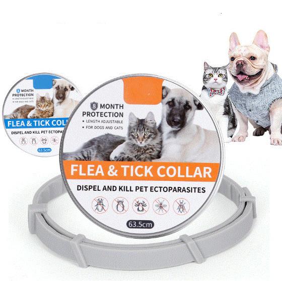 grey cat collar