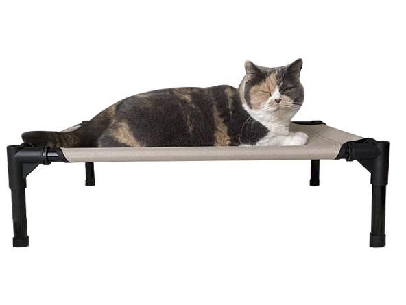 dog camping cot
