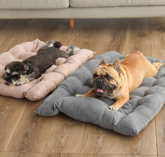 best kitten bed