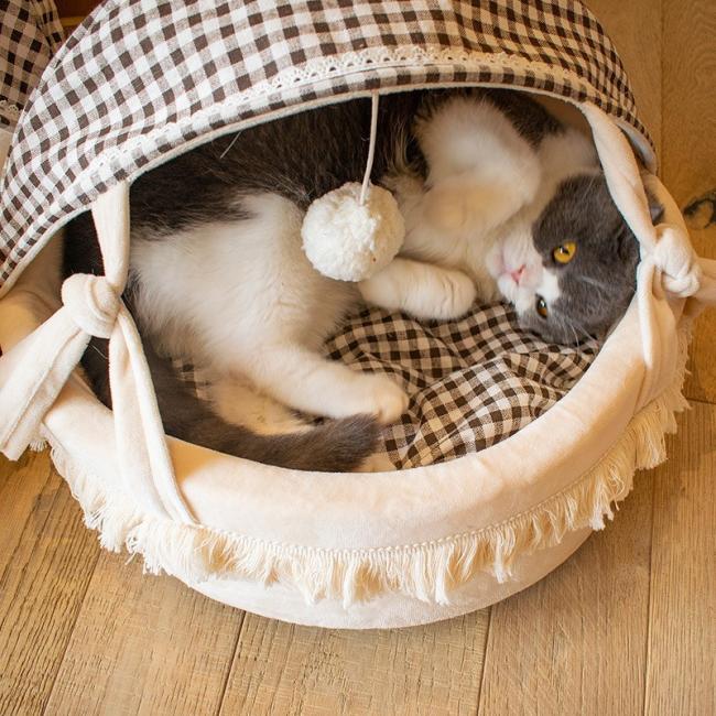 raised dog bed b&m