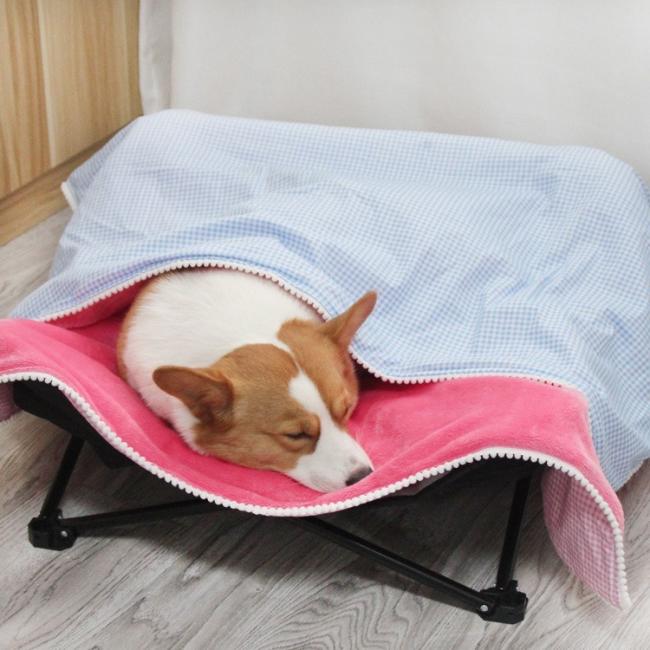 best blankets for cats