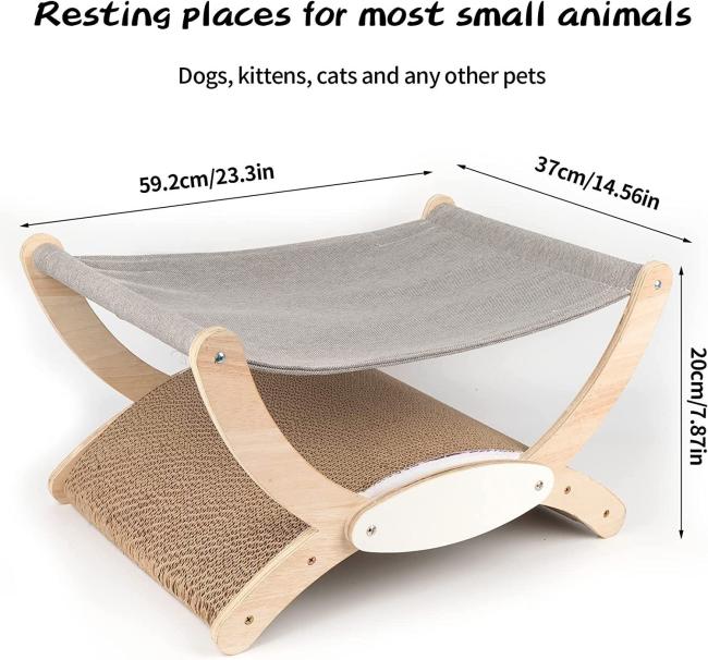 cat and bed