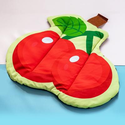 Cina Cat Bed Mat Autumn Cat Mat Dog Mat All Seasons Mat Sleeping Pad universale in vendita
