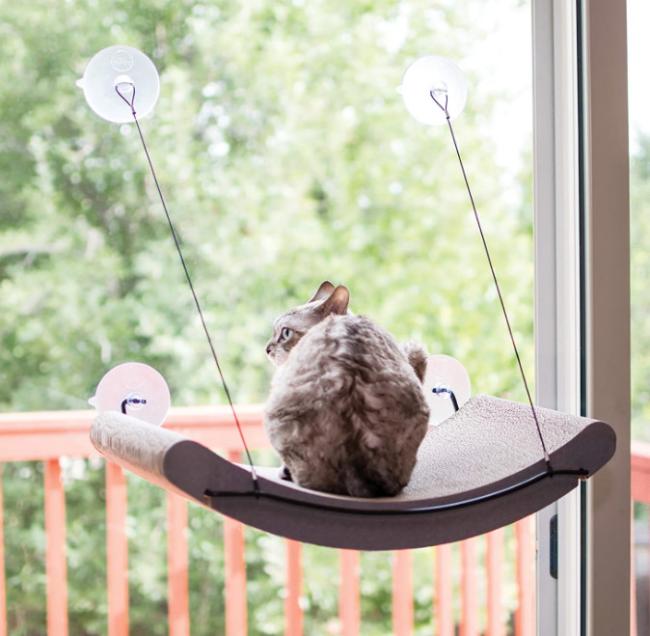 lit de chat monté par fenêtre