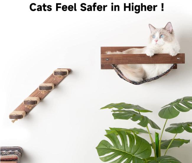 wall hanging cat bed