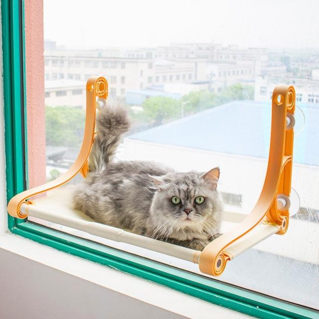 off the floor cat beds