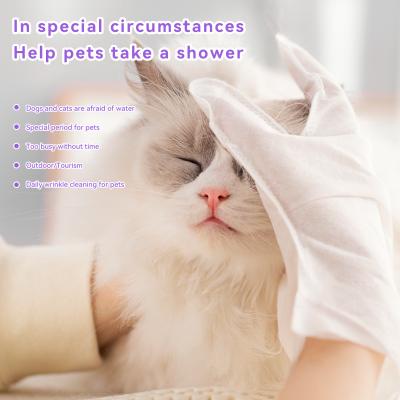 China Aloe Vera Extract Pet Disposable Gloves Wet Wipes General Disinfection and Deodorization for sale