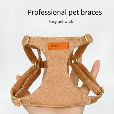 Cina Arnesto regolabile per animali da compagnia con guinzaglio LED Arnesto a guinzaglio con giubbotto per cani di tutte le dimensioni in vendita