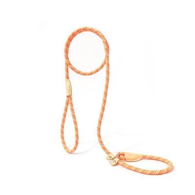 Cina Animali da compagnia Nylon robusto e resistente Leash High Quality Traction Rope per cani e gatti in vendita