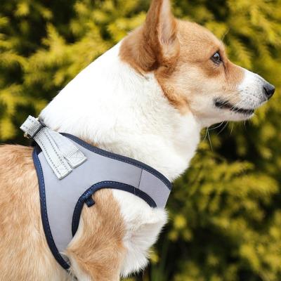 中国 ペット ポリエステル リード 息抜ける 網帯 犬 散歩 小犬 猫 販売のため