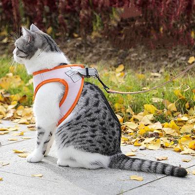 中国 ペット ポリエステル リード 息抜ける 網帯 犬 散歩 小犬 猫 販売のため