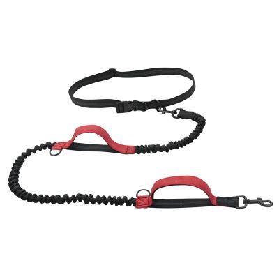China Pet Reflective Two Hand Handle Leash Hands Free Outdoor Portable Running Dog Leash for sale