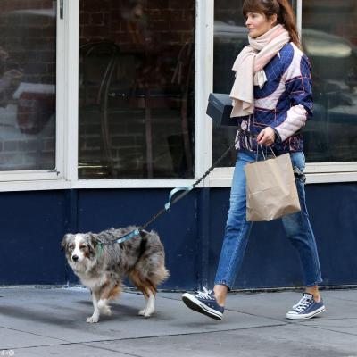 China Pet Reflective Two Hand Handle Leash Hands Free Outdoor Portable Running Dog Leash for sale