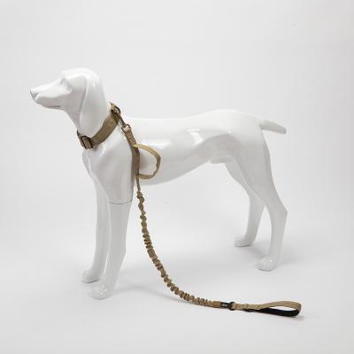 Cina Leash riflettente a prova di esplosione per animali domestici doppia maniglia di nylon tastica per cani in vendita