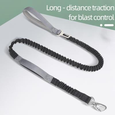 Cina Pet Multifunzione contrasto di colore Leashes Imitazione Nylon Hollow Webbing Explosion Proof Dog Walking Leash in vendita
