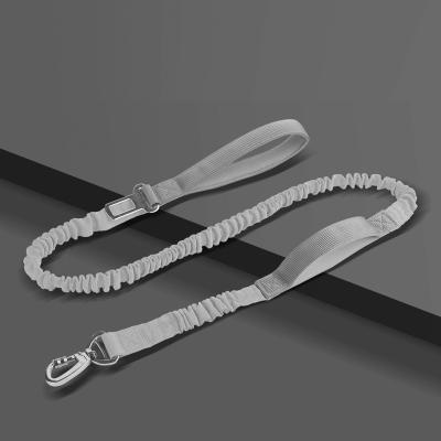 Cina Pet Multifunzione contrasto di colore Leashes Imitazione Nylon Hollow Webbing Explosion Proof Dog Walking Leash in vendita