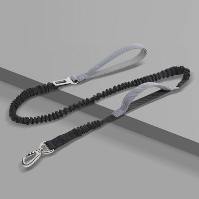 Cina Pet Multifunzione contrasto di colore Leashes Imitazione Nylon Hollow Webbing Explosion Proof Dog Walking Leash in vendita