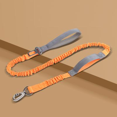 Cina Pet Multifunzione contrasto di colore Leashes Imitazione Nylon Hollow Webbing Explosion Proof Dog Walking Leash in vendita