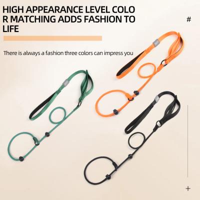 Cina Pet Nylon P Chain Leash Dog Explosion-Proof Punch Handle Integrated Dog Walking Rope (Cena di nylon P per animali domestici) in vendita