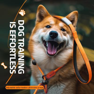 Cina Pet Nylon P Chain Leash Dog Explosion-Proof Punch Handle Integrated Dog Walking Rope (Cena di nylon P per animali domestici) in vendita