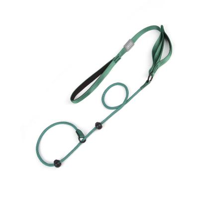 Cina Pet Nylon P Chain Leash Dog Explosion-Proof Punch Handle Integrated Dog Walking Rope (Cena di nylon P per animali domestici) in vendita