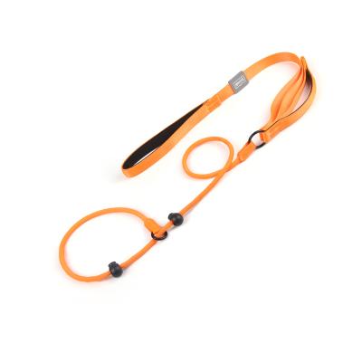 Cina Pet Nylon P Chain Leash Dog Explosion-Proof Punch Handle Integrated Dog Walking Rope (Cena di nylon P per animali domestici) in vendita