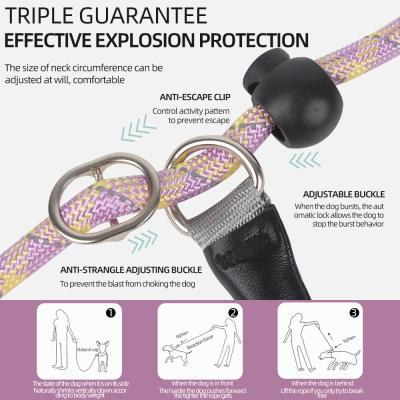 Cina Pet Explosion-proof P Chain Leash Dog Riflettente Respirabile Senza Stretta Manuale Leash Integrato Per Cani in vendita