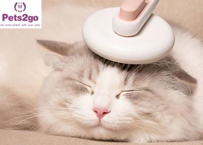 Cina Pellettine per animali domestici, pettine per nodi, pettine per rimuovere i capelli per gatti, pettine per cani, spazzole per massaggi in vendita