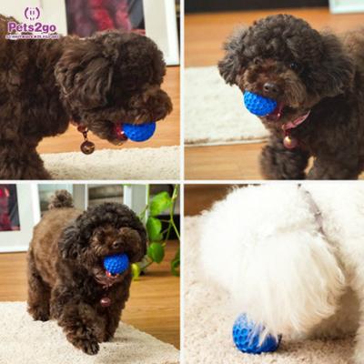 China non toxic Interactive Rubber 86mm Dog Play Ball for sale