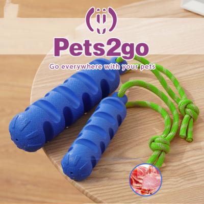 Cina Vocalizzi i giocattoli di masticazione di 175X40mm per Chewers duro in vendita