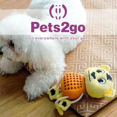 Cina pulizia dei denti di 177X138mm Fuzzy Pet Chew Toys For in vendita