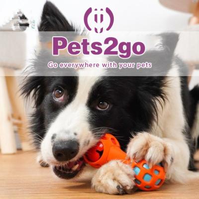 Cina Giocattoli duri 128X51mm resistenti di masticazione del morso per i grandi cani in vendita